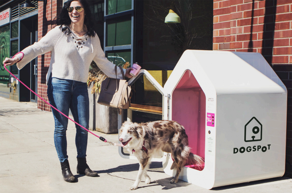 KCMO provides welcoming spot for high-tech kennel startup, DogSpot