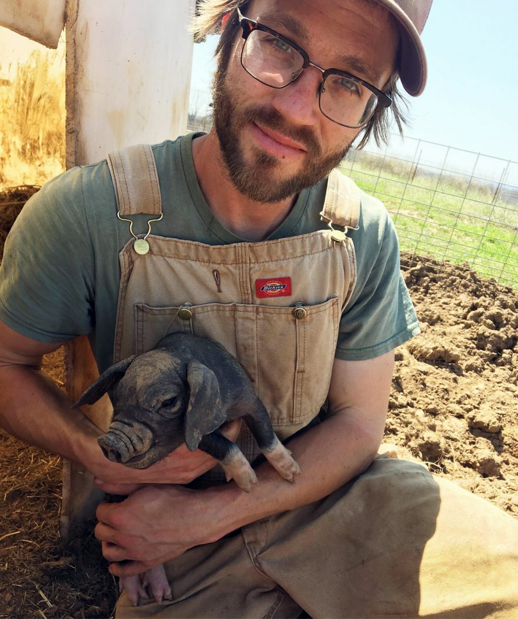 How two former vegetarians revived a 5,000-year-old pig breed in the ...