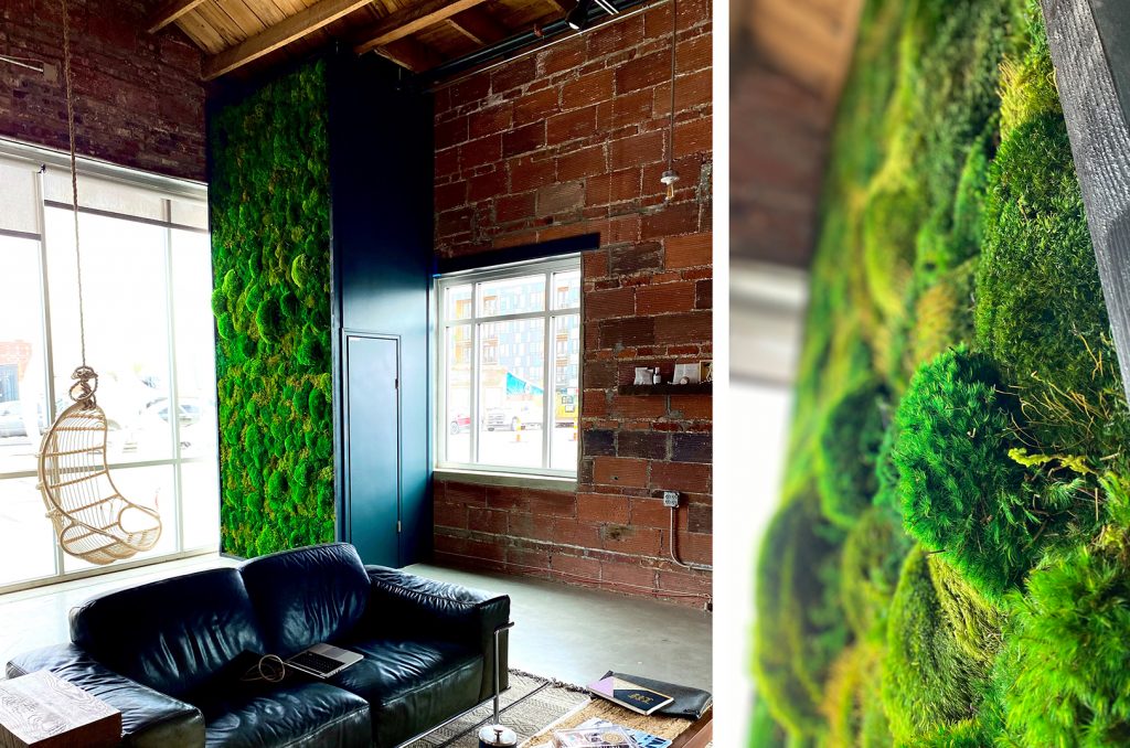 The Fat Plant Society Laya Center 03 – Startland News