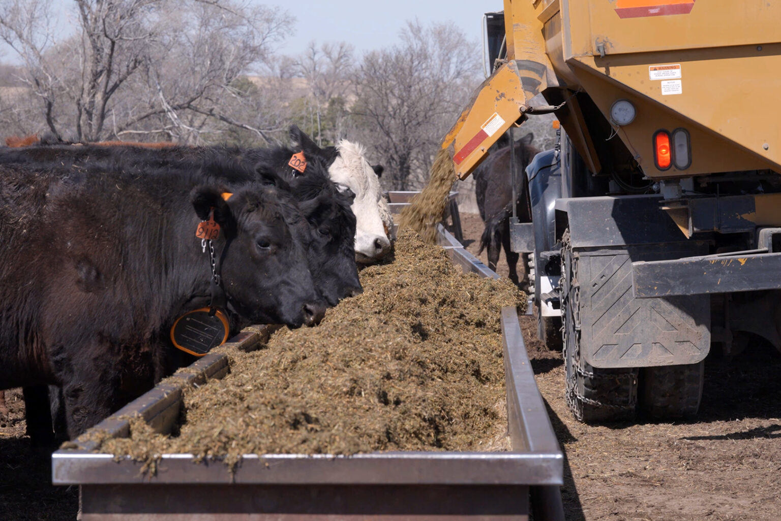 Kansas company beefs up natural qualities of meat, tallow with tech ...
